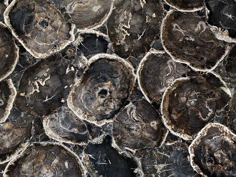 Antolini Exclusive Collection | Antolini Stone Collection